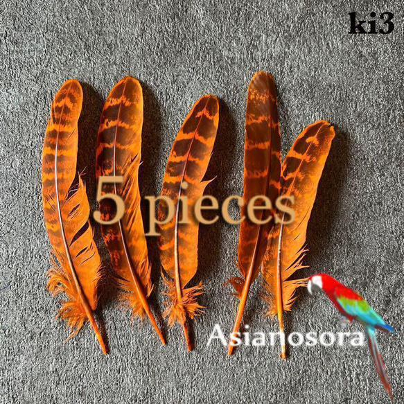 送料無料【ki3 オレンジ】5枚キジ 鳥の羽根 フェザー 素材 パーツ その他素材 羽根専門店 Asianosora 通販 16604580 ...