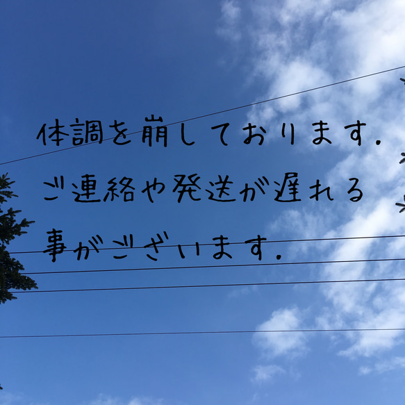 緊急によりご連絡や発送が遅れる可能性がございます. ピアス（スタッド・一粒） aloman 通販 16660708｜Creema(クリーマ)