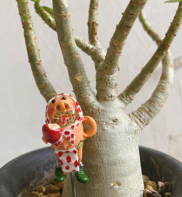 ガーデンピック（ミニ）③ホッカムリオッサン リンゴ 多肉植物 alimie 通販｜Creema(クリーマ) 16708608