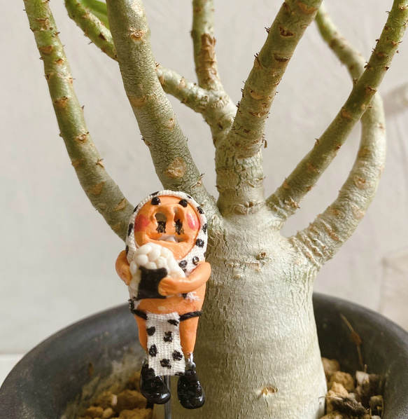 ガーデンピック（ミニ）④ ホッカムリオッサン オニギリ 多肉植物 alimie 通販｜Creema(クリーマ) 16708637