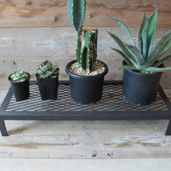 アイアンプランタースタンド（ロング） その他インテリア雑貨 DADA iron + wood 通販｜Creema(クリーマ) 16730461