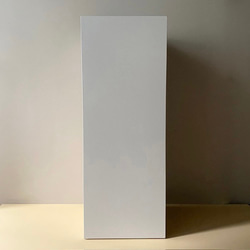 【受注生産】WD300×H800mm ディスプレイスタンド /展示什器/植物台/花台/撮影台 その他インテリア雑貨 SWIMMY STAND ...