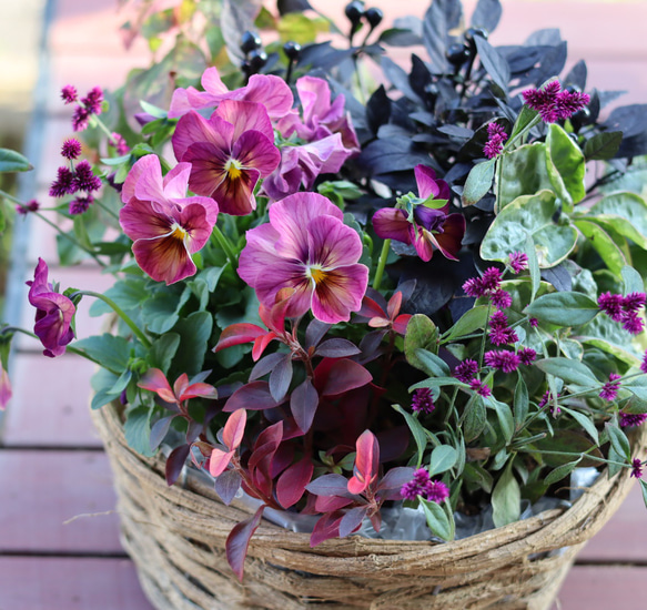 kimichan様オーダーページ その他インテリア雑貨 アイビー 通販 16768125｜Creema(クリーマ)