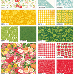 「Fruit Loop」moda Charm Pack (カットクロス42枚) BasicGrey はぎれ studio peperin 通販 16816770｜Creema(クリーマ)