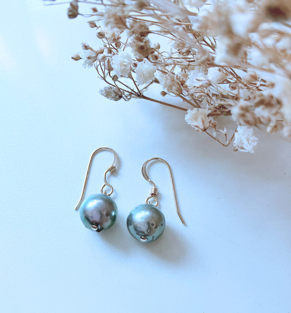 【数量限定】14kgf 南洋真珠 ブラック タヒチ パール(フックピアス) ピアス（フック・チェーン） Belle Lune 通販 16838201｜Creema(クリーマ)