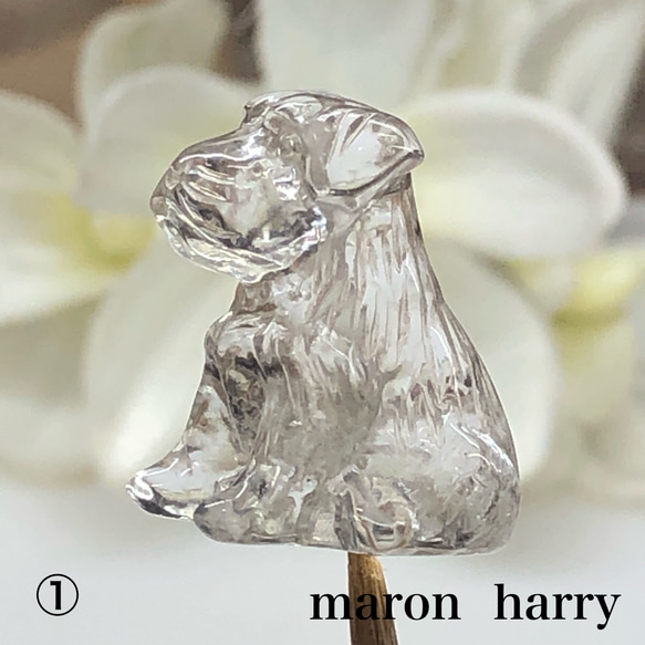 わんちゃん・水晶・天然石・貫通穴•*¨*•.¸¸♬ ブレスレット MARON HARRY 通販｜Creema(クリーマ)