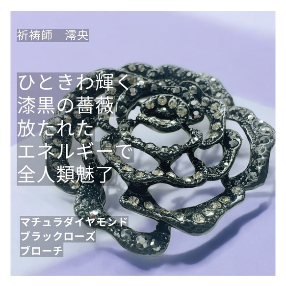 M389 美の神秘内なる美しさを放出 薔薇のエネルギーマチュラダイヤモンド ブラックローズ ブローチ人生を変える 両想い ブローチ Magical Shop 通販 16923756 ...
