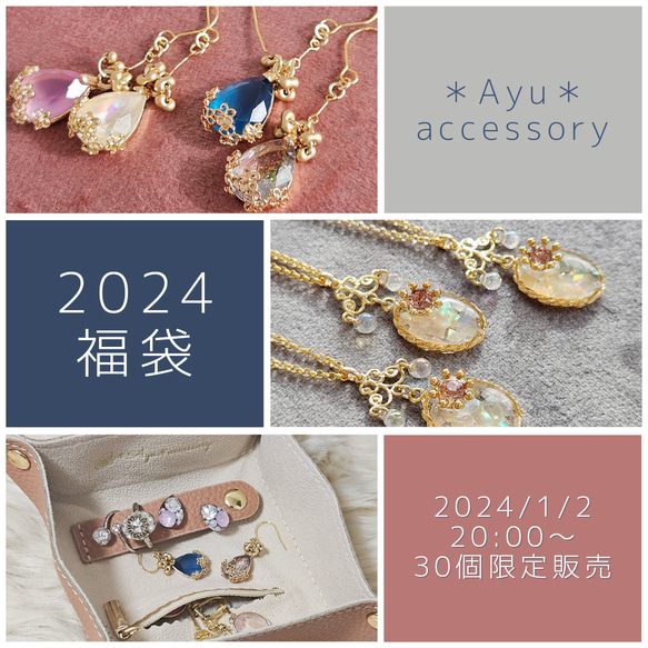 【creema限定/数量限定30個】アクセサリーが5点以上入る「2024年福袋」アクセサリーポーチ＋クーポン付♡ ピアス（その他） ＊Ayu＊accessory 通販 17067509 ...