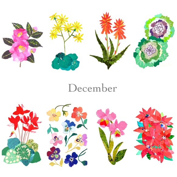 12月頃の花ポストカードセット ポストカード tomocollage 通販 17069535｜Creema(クリーマ)