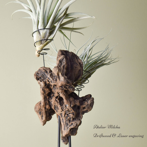 流木エアプランツスタンド（アイアン仕立て） 一輪挿し・花瓶・花器 atelier milcha 通販 17096917｜Creema(クリーマ)