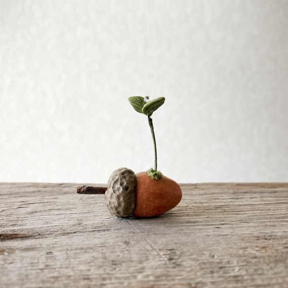 8477.bud 粘土のどんぐり その他インテリア雑貨 bud 通販 17134683｜Creema(クリーマ)