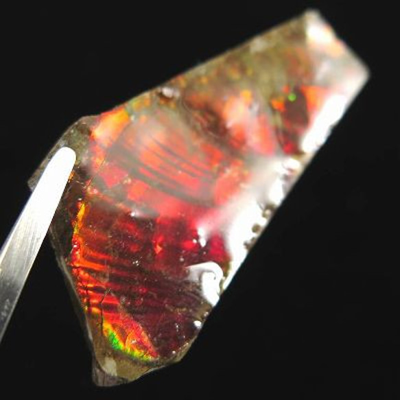 アンモライト アンモナイト化石 スライス 原石 5.3g【榎本通商11209】 天然石 榎本通商 通販 17251354｜Creema(クリーマ)