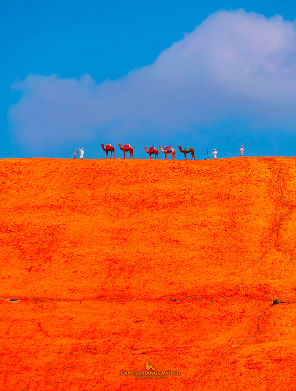 【ポストカード/2L/A4プリント】ORANGE DESERT（オレンジ砂漠） 写真・グラフィック gamitakao 通販 17301729｜Creema(クリーマ)