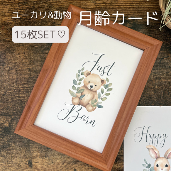 月齢カード マンスリーカード おしゃれ 月齢フォト ナチュラル シンプル その他アート Shiomari shop 通販 17404056 ...