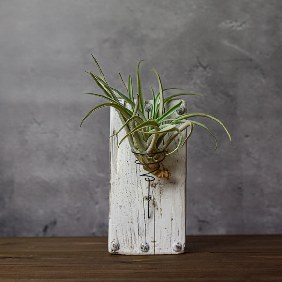 エイジング加工エアプランツホルダー 一輪挿し・花瓶・花器 atelier milcha 通販｜Creema(クリーマ)