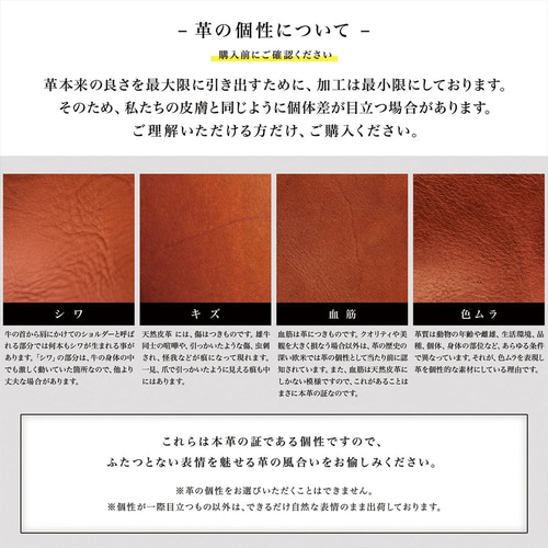 パスケース 小銭入れ 薄型 本革 メンズ レディース バタフライ パスケース 小銭入れ 薄型 本革 メンズ レディース バタフライ