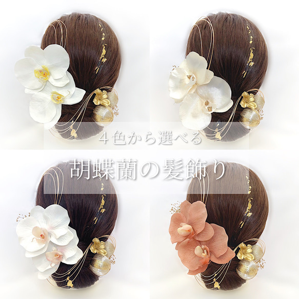 4色から選べる胡蝶蘭の髪飾りI】金箔水引付き◎ 成人式/結婚式 4色から選べる胡蝶蘭の髪飾りI】金箔水引付き◎ 成人式/結婚式