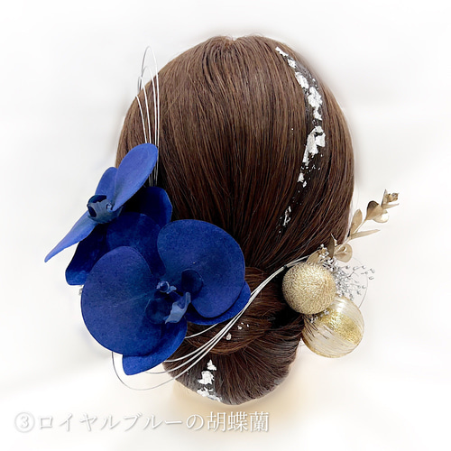 4色から選べる胡蝶蘭の髪飾りII】金箔水引付き◎成人式/結婚式 4色から選べる胡蝶蘭の髪飾りII】金箔水引付き◎成人式/結婚式