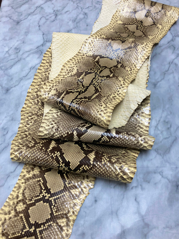 ★お買い得★パイソン ヘビ革 アイボリー×グロス 一枚革_P113 その他素材 レザー販売 通販 17617887｜Creema(クリーマ)