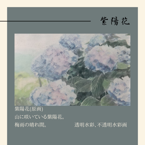 紫陽花(原画) 透明水彩、不透明水彩、コピック、その他 絵画 紫陽花(原画) 透明水彩、不透明水彩、コピック、その他 絵画