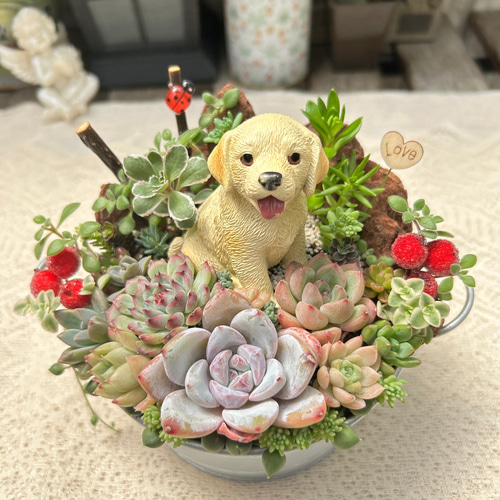 展示品…可愛い✤花達の箱庭✤フラワーリース③中 展示品…可愛い✤花達の箱庭✤フラワーリース③中