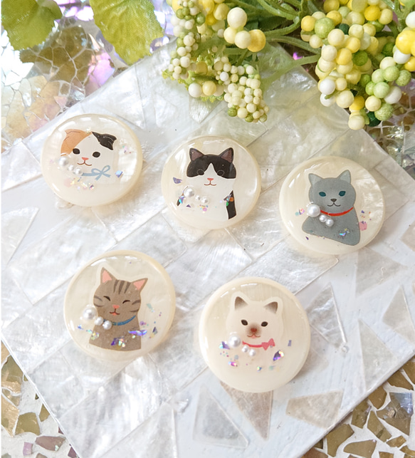 猫のボタン☆5個 s36 ネコ/ボタン/カボション/動物 ボタン こうちゃんぱんだ 通販 17635844｜Creema(クリーマ)