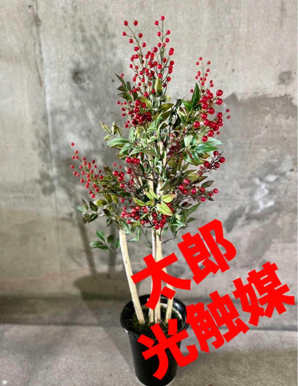 光触媒 人工観葉植物 ウォールグリーン フェイクグリーン 南天@gjadm その他インテリア雑貨 太郎 通販｜Creema(クリーマ ...