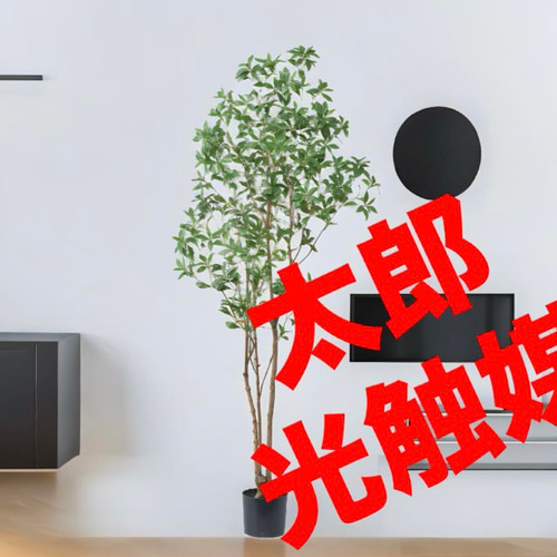 光触媒 人工観葉植物 ウォールグリーン フェイクグリーン アセビ 光触媒 人工観葉植物 ウォールグリーン フェイクグリーン アセビ