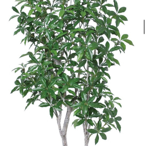 光触媒 人工観葉植物 ウォールグリーン フェイクグリーン 光触媒 人工観葉植物 ウォールグリーン フェイクグリーン