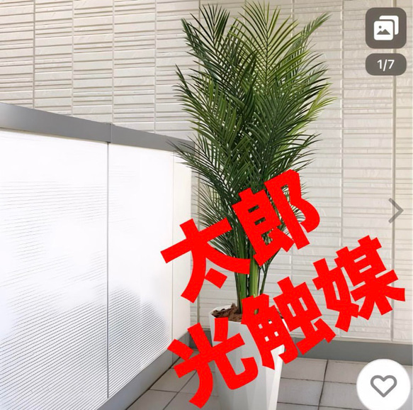 光触媒 人工観葉植物 ウォールグリーン フェイクグリーン アレカパーム1.7 その他インテリア雑貨 太郎 通販｜Creema(クリーマ ...