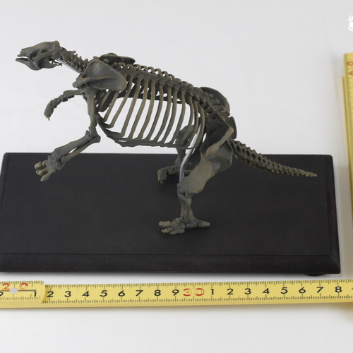 オオナマケモノ 縮小全身骨格レプリカ 二足立ちの状態 Giant オオナマケモノ 縮小全身骨格レプリカ 二足立ちの状態 Giant