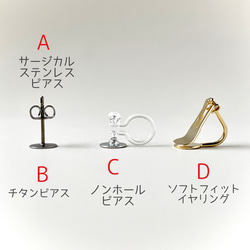 冬の刺繍耳飾り2組セット ピアス ノンホールピアス イヤリング 選べる金具 Creema限定 木の実 花 ピアス（スタッド・一粒） tukuru-Risa-broderie 通販 ...