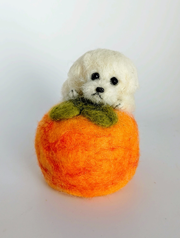 羊毛フェルト マルチーズと柿のピンクッション 羊毛フェルト Rurumaru 通販 18170071｜Creema(クリーマ)
