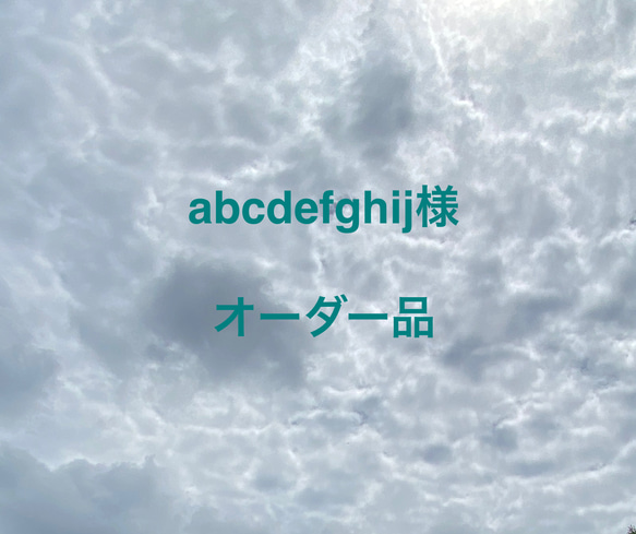 abcdefghij様オーダー品 ペンダントトップ Cantik* 通販｜Creema(クリーマ) 18291600