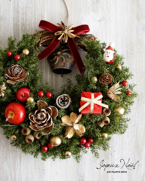 クリスマスリース(8) 22 X 20 cm ～ひょっこりサンタ～ リース AJU PLANTS DECO 通販 18300081 ...
