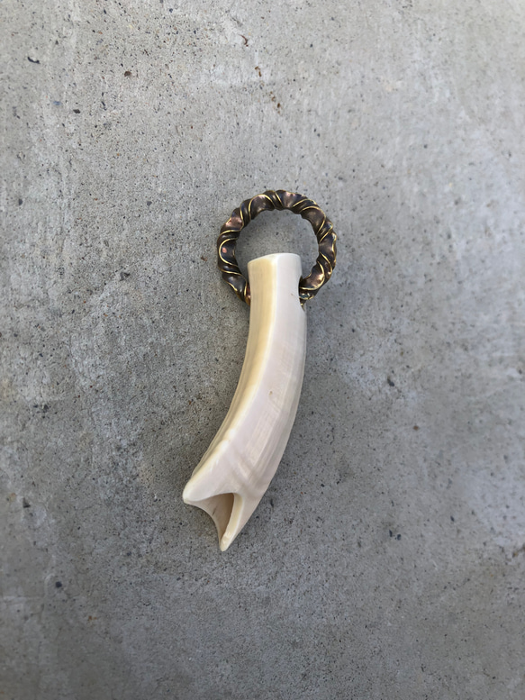 brass curved pattern ring boar fang pendant top ペンダントトップ ペンダントトップ brass ...