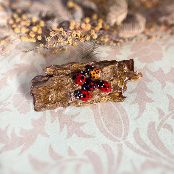 昆虫生態ブローチ ★テントウムシの越冬★② ブローチ mu-mu-friends 通販｜Creema(クリーマ) 18386695