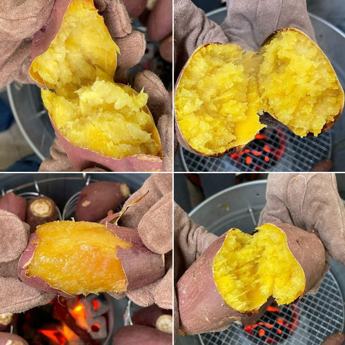 焼き芋販売スターターキット2 保温機能&木製ホットショーケース 焼き芋販売スターターキット2 保温機能&木製ホットショーケース