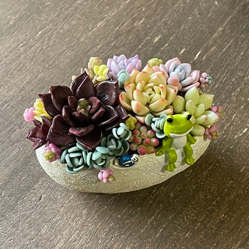 多肉植物❤姫秀麗錦❤抜き苗 その他インテリア雑貨 ✰Pan✰ 通販 多肉植物❤姫秀麗錦❤抜き苗 その他インテリア雑貨 ✰Pan✰ 通販