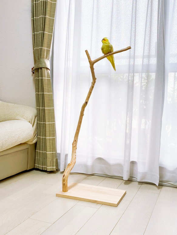 流木止まり木】高さ約95cm!鳥 インコ 高さのあるスマートな 流木止まり木】高さ約95cm!鳥 インコ 高さのあるスマートな