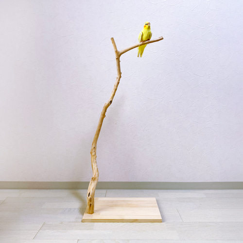 流木止まり木】高さ約95cm!鳥 インコ 高さのあるスマートな 流木止まり木】高さ約95cm!鳥 インコ 高さのあるスマートな