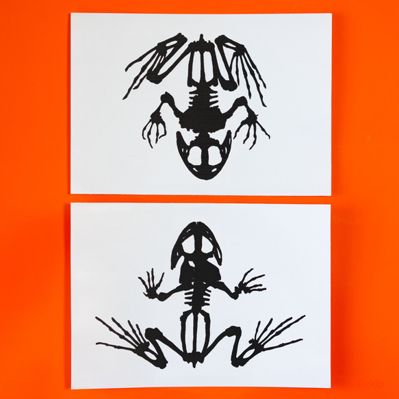 シール ウシガエルの骨格（A6判x2） シール・ステッカー puikko 通販 18651888｜Creema(クリーマ)