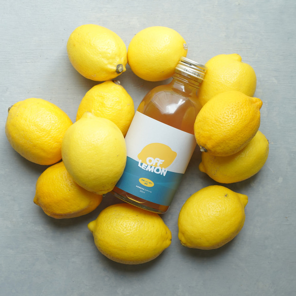 レモネードシロップ OFF LEMON (オフレモン) 希釈用 ギフト ジュース CityCamp株式会社 通販 18667915 ...