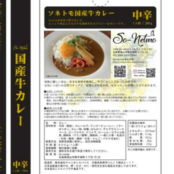 So-netmoカレー Cafeが本気で作りました。国産牛のスパイシーカレー 2個セット 送料無料 スイーツ・お菓子・パン So-netmo 通販 18670400｜Creema(クリーマ)