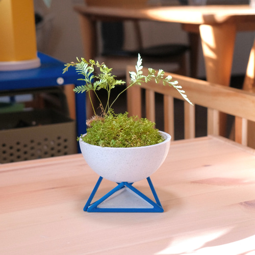 オーダー承ります 多肉植物寄せ植え そのまま飾れる その他 オーダー承ります 多肉植物寄せ植え そのまま飾れる その他