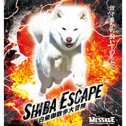 おもしろ柴犬Tシャツ「SHIBA ESCAPE」 Tシャツ ｢MessagE｣ 通販 18761207｜Creema(クリーマ)
