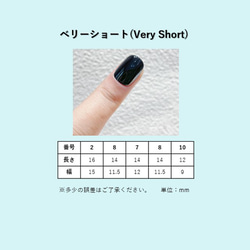 「瑠璃紅」赤褐・ブルーのマグネットニュアンスネイルチップ マグネット ミラーネイル 急ぎ【フリーサイズ 送料無料】 ネイルチップ（つけ爪） Lucente Nail 通販 18940408 ...