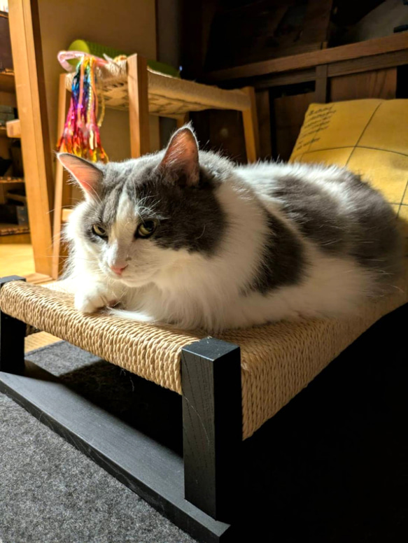 座椅子 猫ベッド ペーパーコード 欅 椅子（チェアー）・スツール YAMORI 通販 18956864｜Creema(クリーマ)