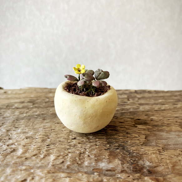 9434.bud 粘土の鉢植え カタバミ 赤葉 その他インテリア雑貨 bud 通販 19023024｜Creema(クリーマ)