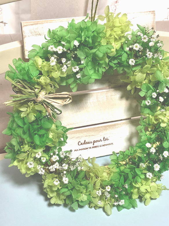 爽やかグリーンな紫陽花とかすみ草のナチュラルリース♡ クローバー畑イメージ＜プリザーブドフラワー仕様＞ プリザーブドフラワー マリエル ...